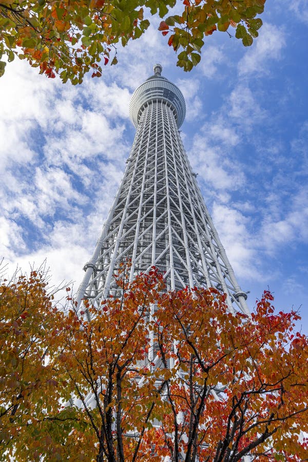 Tokyo Sky Tree editorial image. Image of construction - 300451670