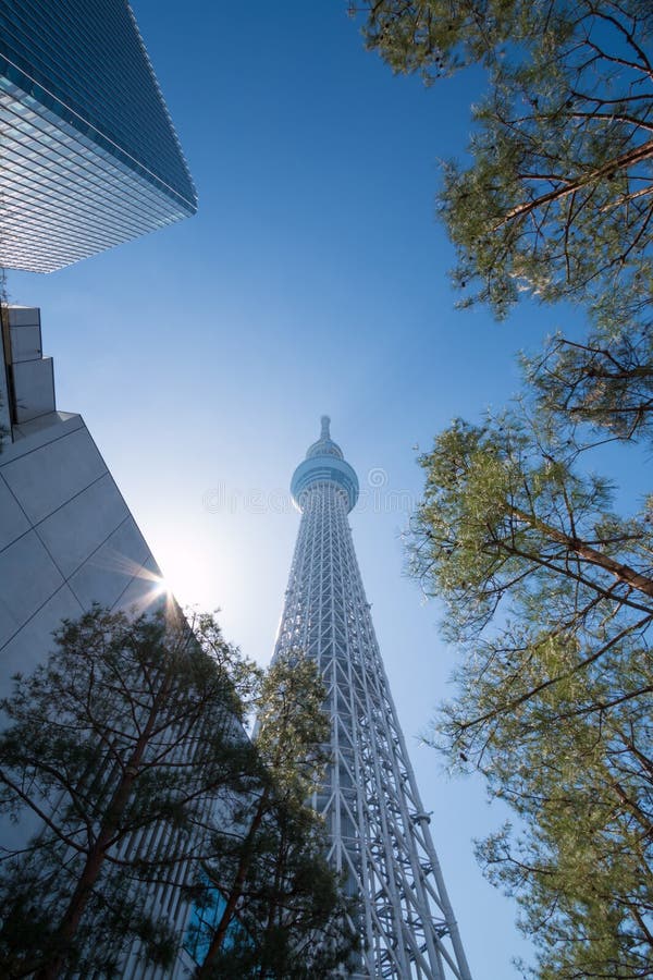 Tokyo sky tree editorial stock image. Image of japanese - 54248554