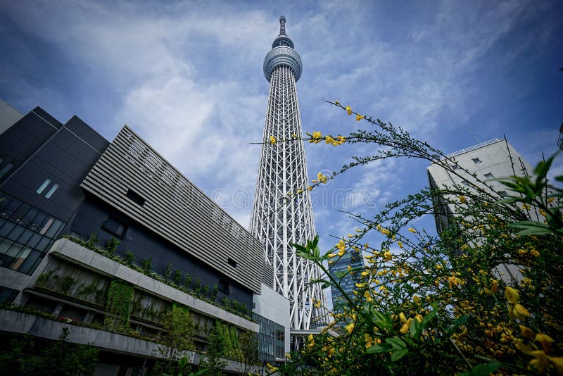 Tokyo Skytree editorial photo. Image of river, location - 97155841
