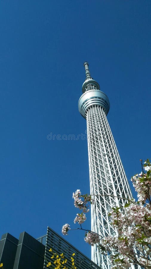 Tokyo Skytree Tower in Spring Season Editorial Image - Image of spire ...