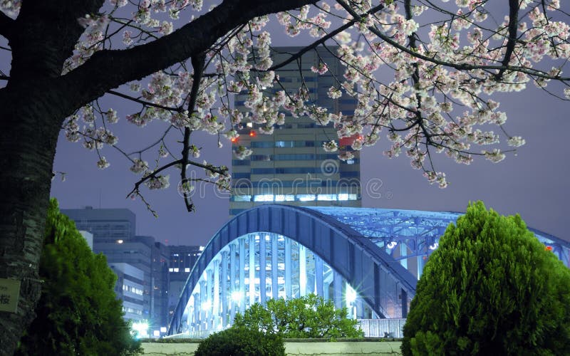 Tokyo spring stock photo. Image of scenery, cherry, bridge - 17793182