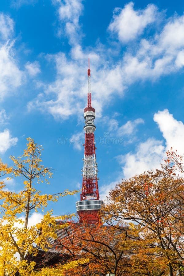 Tokyo Tower and Autumn Trees Editorial Photography - Image of asia ...