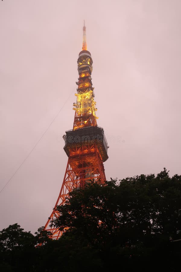 The Tokyo Tower is so Beautiful in the Evening in Tokyo in Japan ...