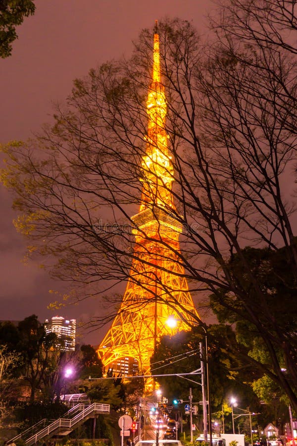 Tokyo Tower in Spring at Tokyo Night Time Stock Image - Image of floral ...