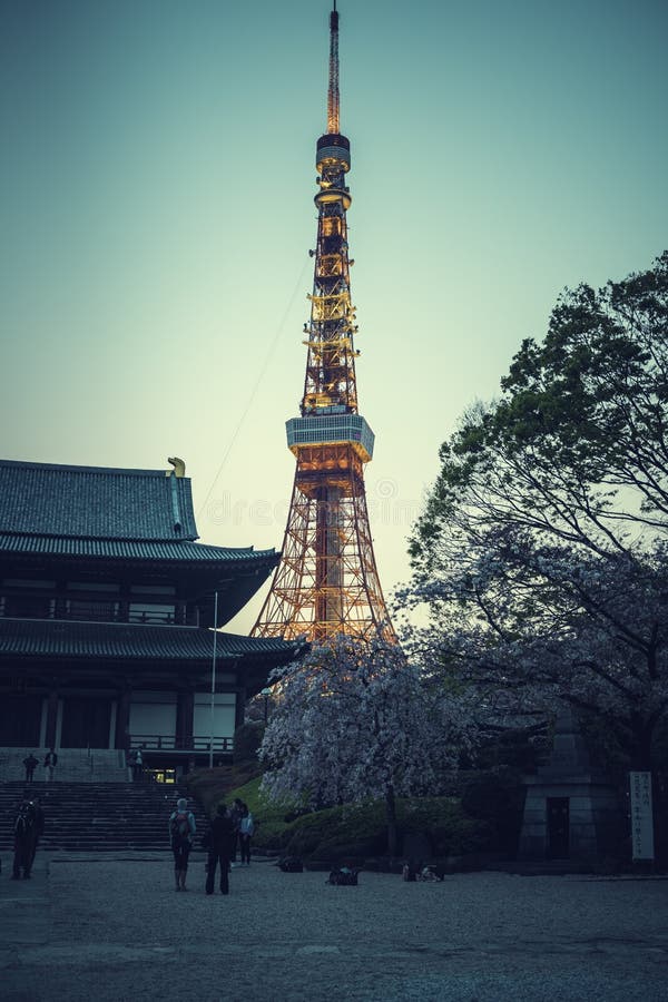 Tokyo Tower during Sunset in Japan Editorial Photography - Image of ...