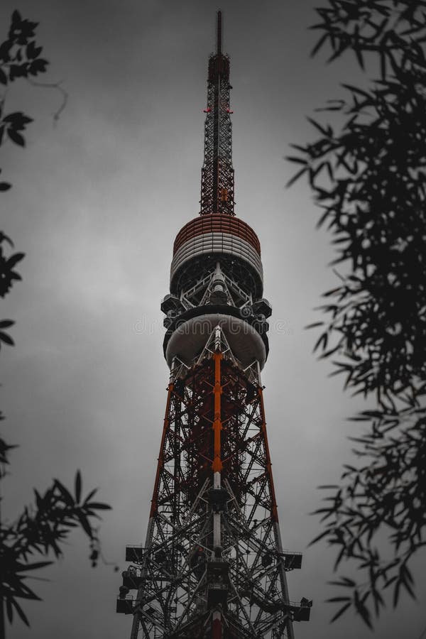 Tokyo tower editorial stock photo. Image of tower, horizon - 313238693