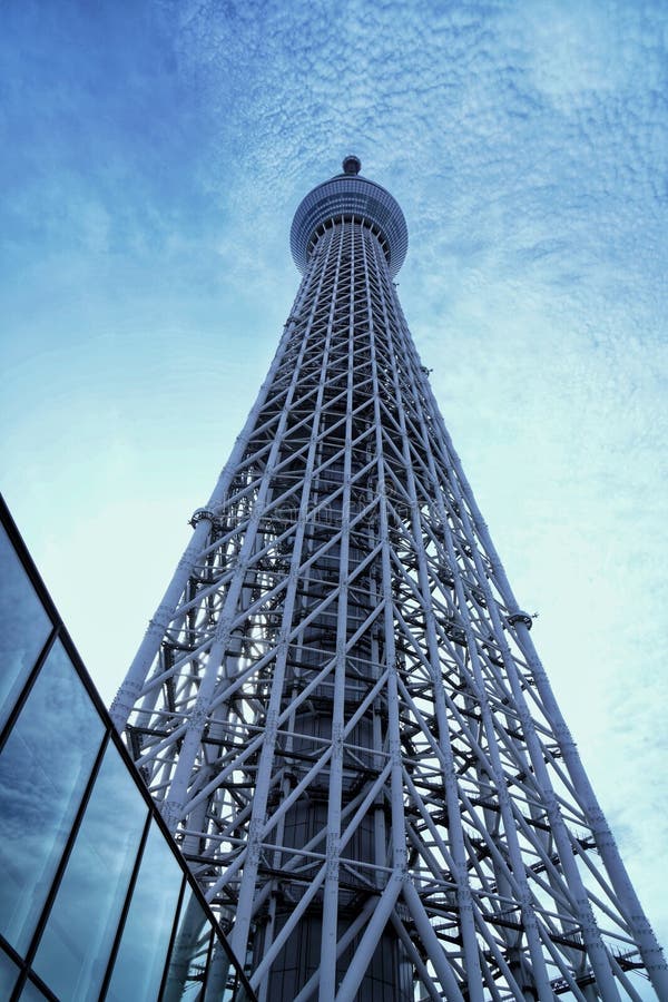 Tokyo Tree Sky Landmark of Tokyo Japan Editorial Stock Photo - Image of ...