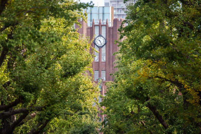 Tokyo University Main Building Clock Tower Stock Photo - Image of tree ...