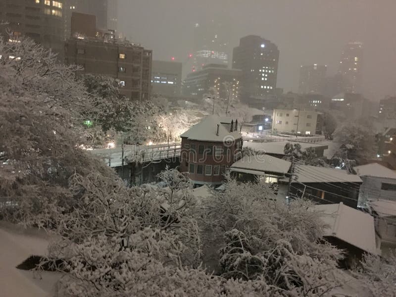 Tokyo winter snow stock photo. Image of winter, snow - 108433930