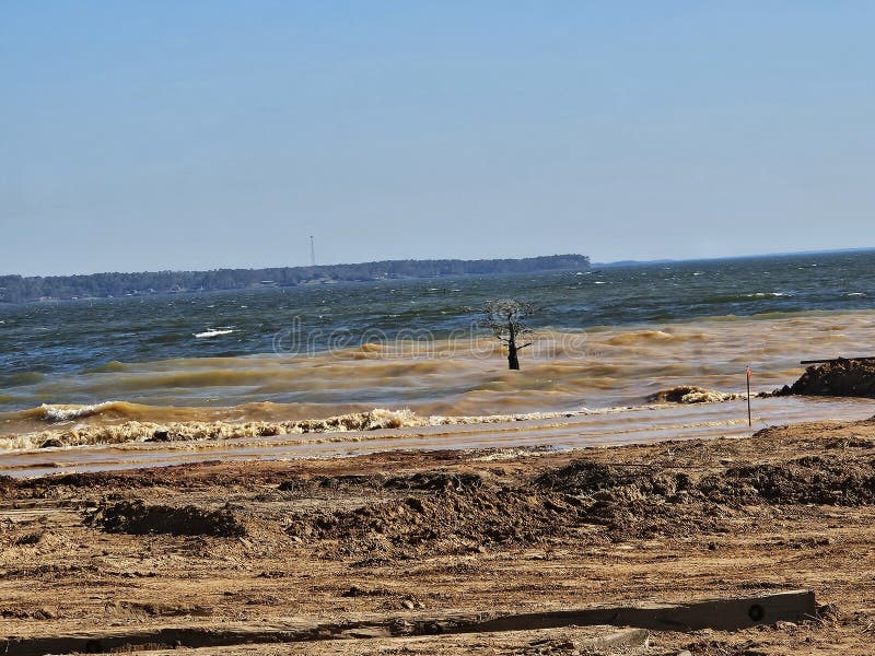 Toledo Bend lake stock photo. Image of toledo, bend - 309365644