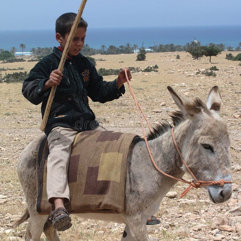 Child riding a donkey editorial photography. Image of ride - 109473527