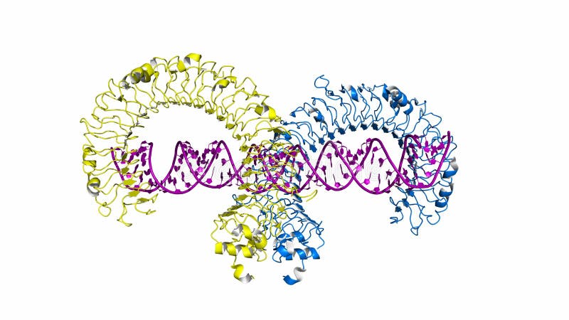 Toll-like receptor model stock video. Video of immunity - 87609907 Toll-like receptor model stock video. Video of immunity - 87609907