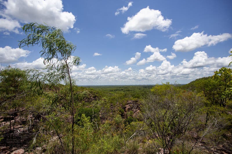 Tolmer Falls Monsoon Forest Stock Photo - Image of australia, leaves ...