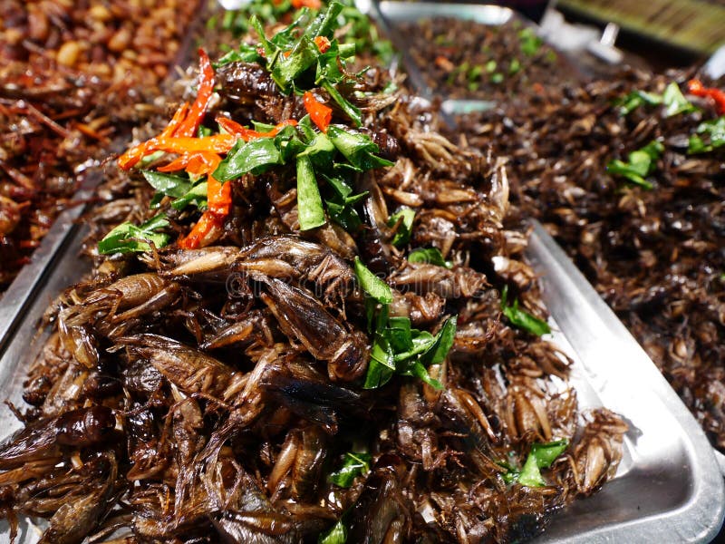 Tolva De La Hierba Salada Frita Foto de archivo - Imagen de langosta ...