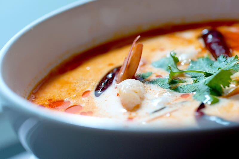 Tom yum gung stock photo. Image of food, shrimp, delicious - 9178146