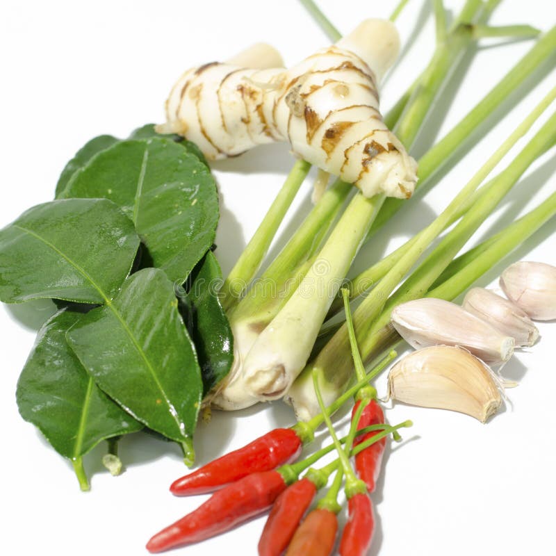 Tom yum set stock photo. Image of leaf, natural, vegetable - 46173766