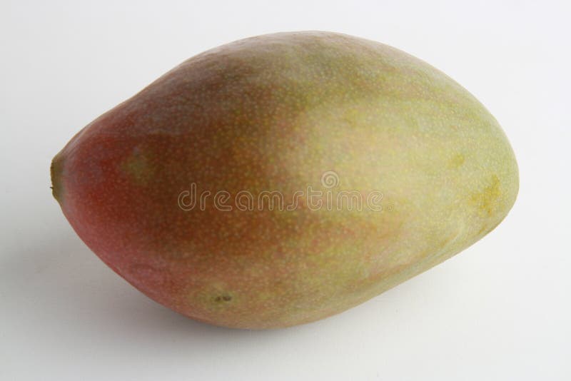 Toma De Un Mango Aislado En Un Fondo Blanco Imagen de archivo - Imagen ...