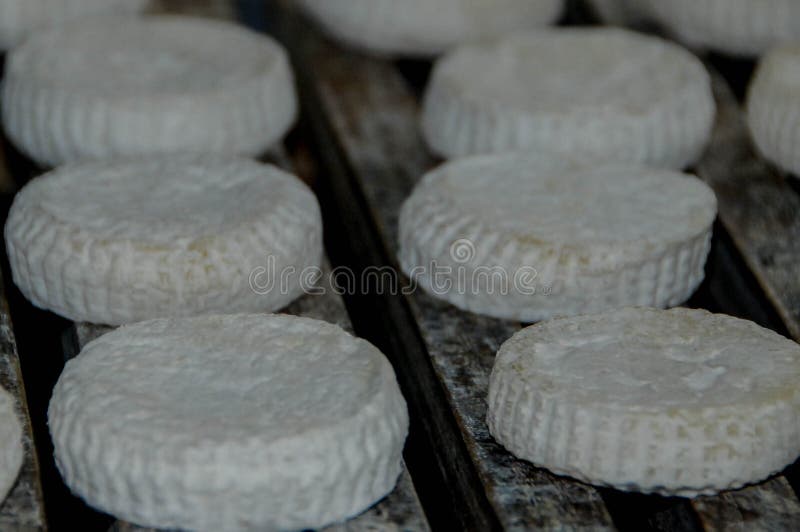 Toma Langhe cheese stock image. Image of natural, farm - 95410783