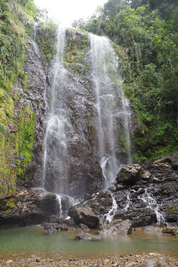 Toma Vertical De Una Cascada En Puerto Rico Imagen de archivo - Imagen ...