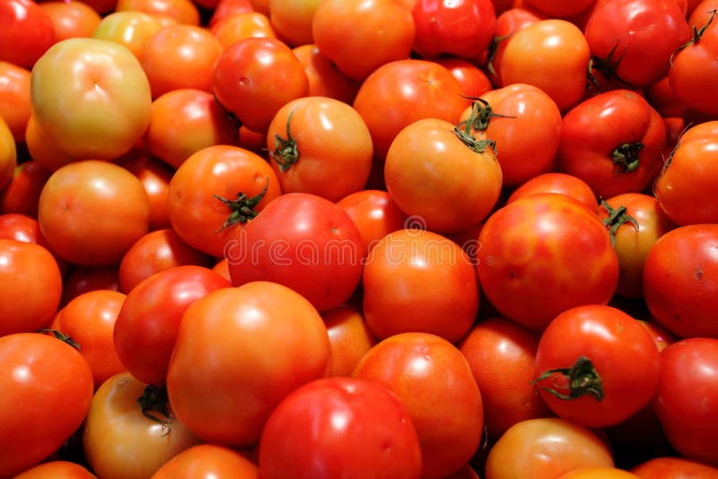 Verse tomaat stock foto. Image of tomaat, raad, ingrediënt - 103784998