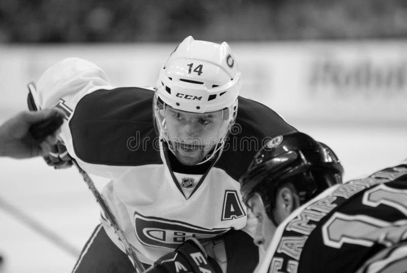 Tomas Plekanec editorial stock photo. Image of national - 74743973