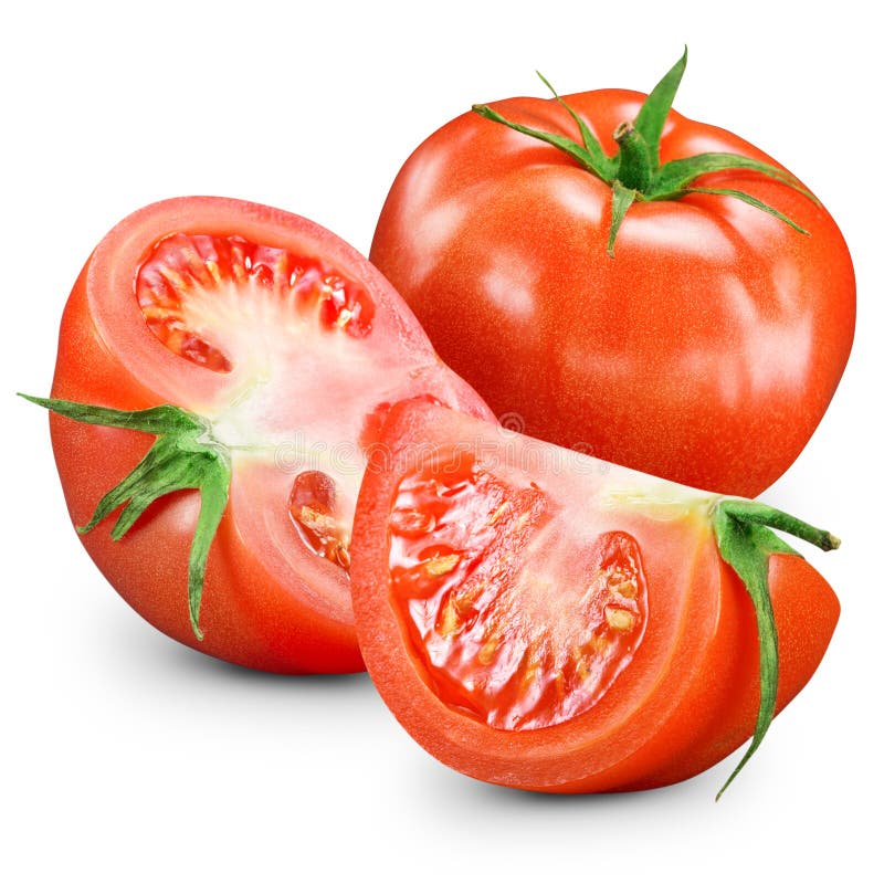 Tomate stockbild. Bild von einzeln, gemüse, frisch, frech - 48848779