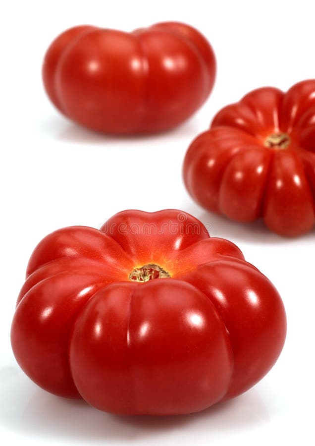 Tomate camone stock photo. Image of white, food, indoor - 170943084