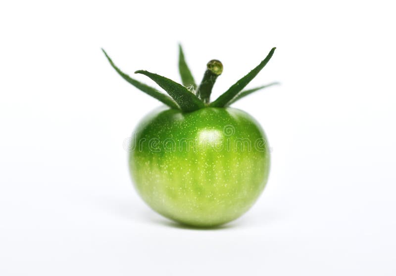 Tomate-cerise verte image stock. Image du fond, cerise - 16306825