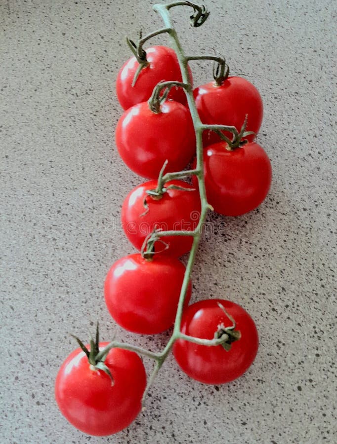Tomate Cherry Tomato Food stock image. Image of tomato - 283308233