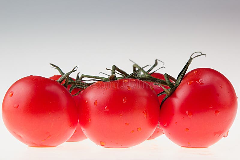 Tomate Do Ramo Em Um Fundo Branco Macro Textura Gradient Imagem de ...