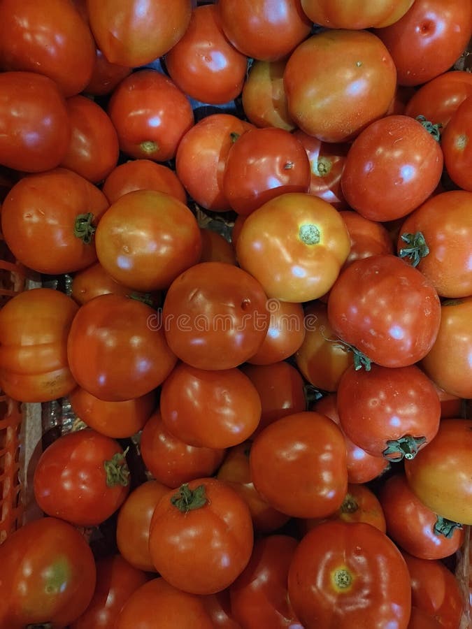 Tomate Dulce En El Mercado Tradicional Imagen de archivo - Imagen de ...