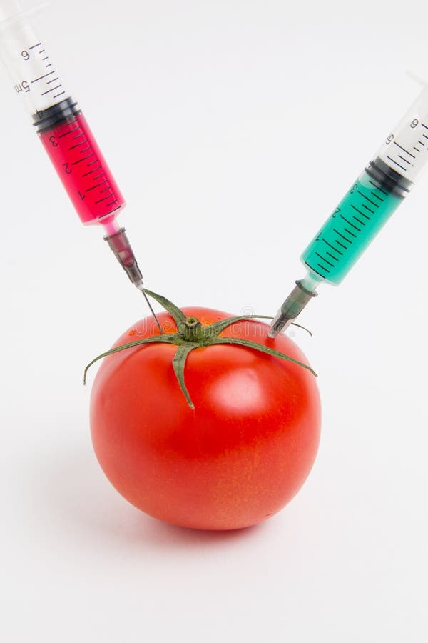 Tomate E Seringa Com Nitratos Conceito De Ingrediente Alimentar OGM ...