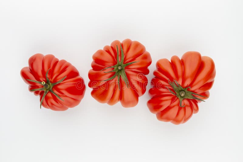 Tomate En El Fondo Del Color Imagen de archivo - Imagen de alimento ...