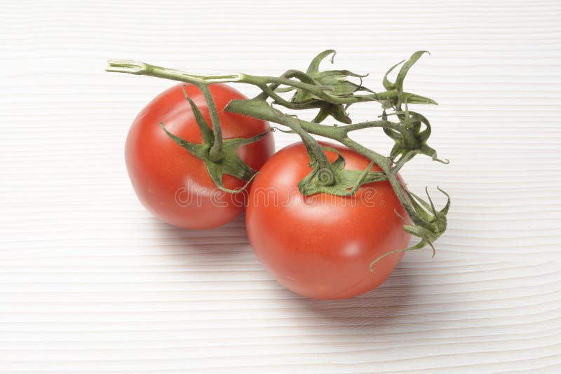 Tomate en rama foto de archivo. Imagen de crudo, tomate - 137680584