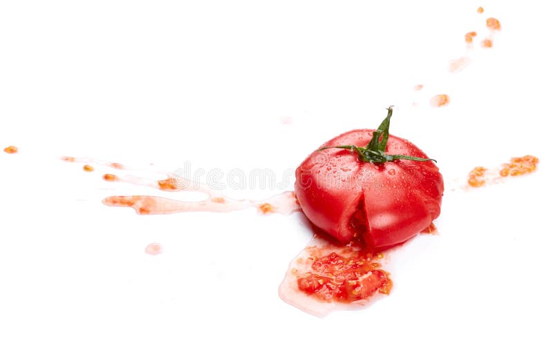 Tomate Splattered foto de stock. Imagem de jogado, acidente - 26526694