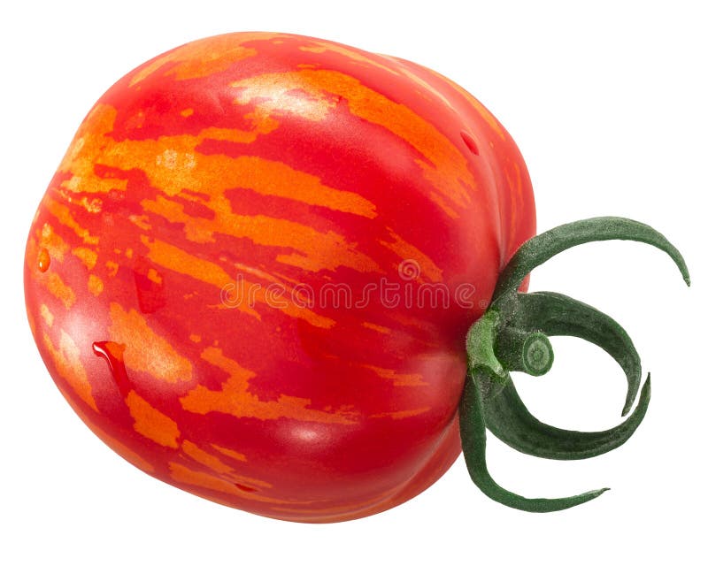 Tomate Heirloom De Cepa Rayada Fruta Entera Aislada Foto de archivo ...