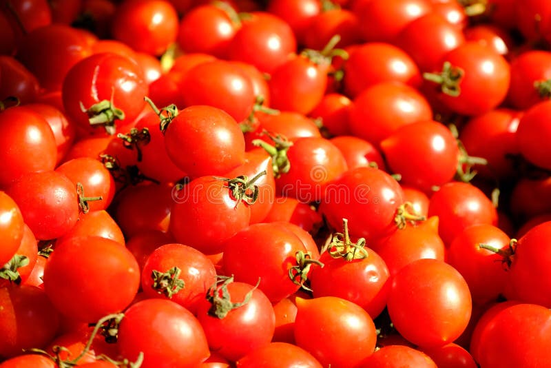 Tomate foto de archivo. Imagen de ingrediente, ensalada - 249358980