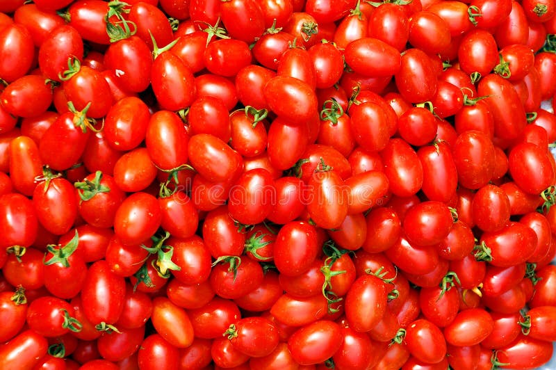 Tomate pequeno chinês imagem de stock. Imagem de chengdu - 1875549