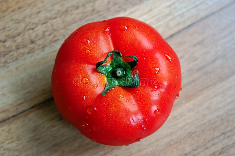 Tomate rojo imagen de archivo. Imagen de agua, fresco - 94900025