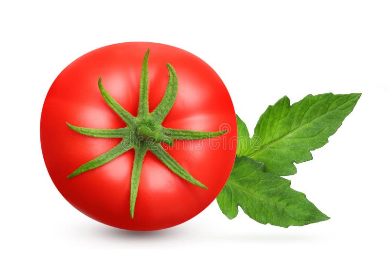 Tomate rojo aislado imagen de archivo. Imagen de brillantemente - 191999057