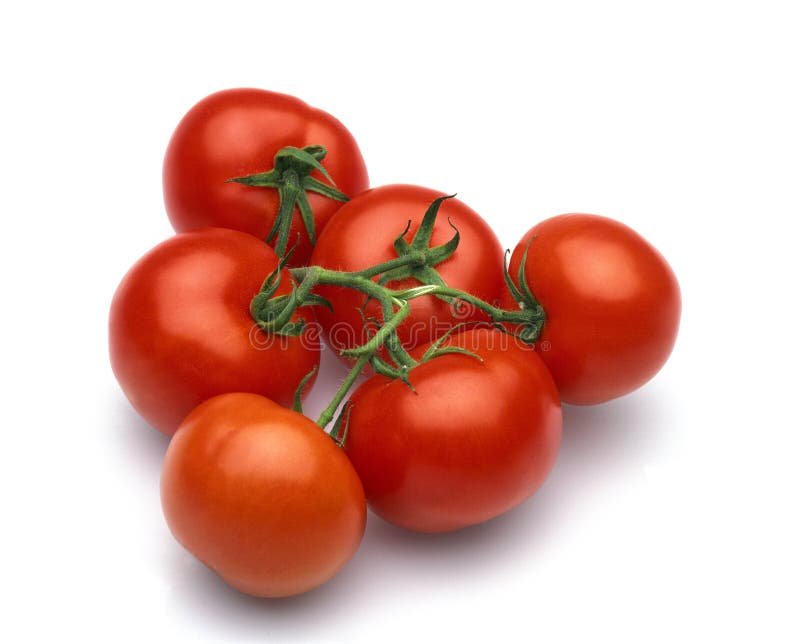 TOMATE ROUGE stock image. Image of lycopersicum, vegetable - 170113857