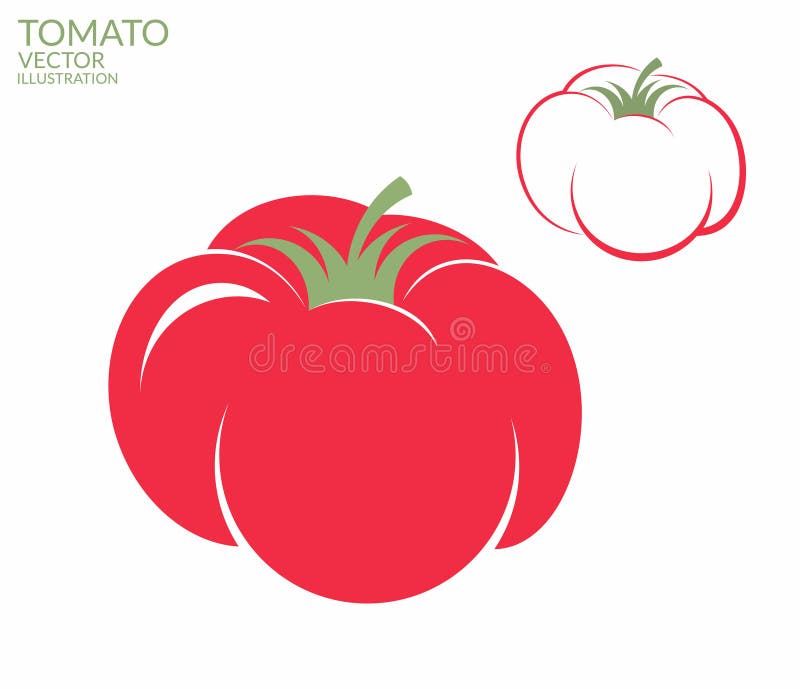 Tomate Vector ilustración del vector. Ilustración de rosa - 53461831