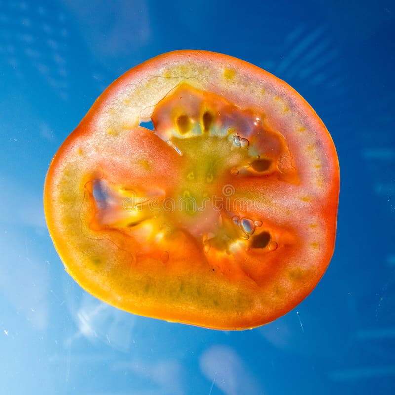 Tomatenscheibe Mit Hintergrund Des Blauen Himmels Stockbild - Bild von ...