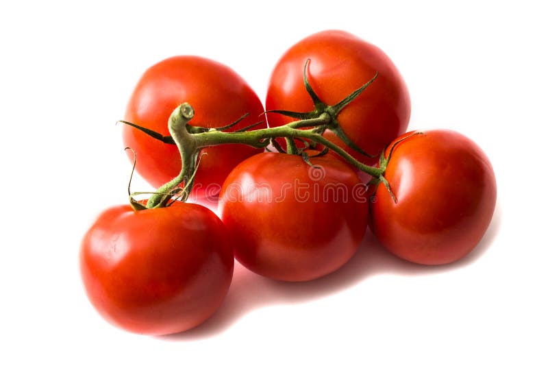 Tomates Em Um Ramo Em Um Fundo Branco Imagem de Stock - Imagem de ...