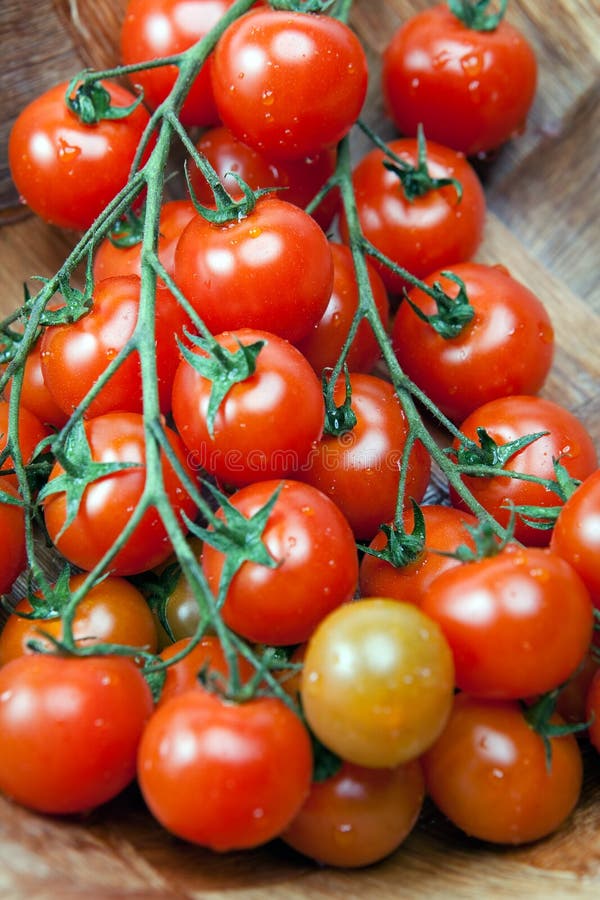Tomates Em Um Ramo Na Bacia De Madeira Imagem de Stock - Imagem de ...
