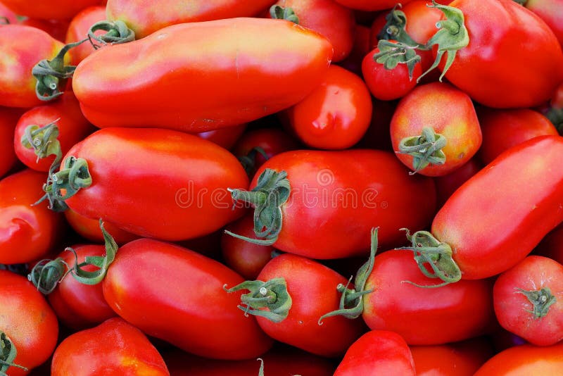 Tomates italianos foto de stock. Imagem de verde, salada - 27613870