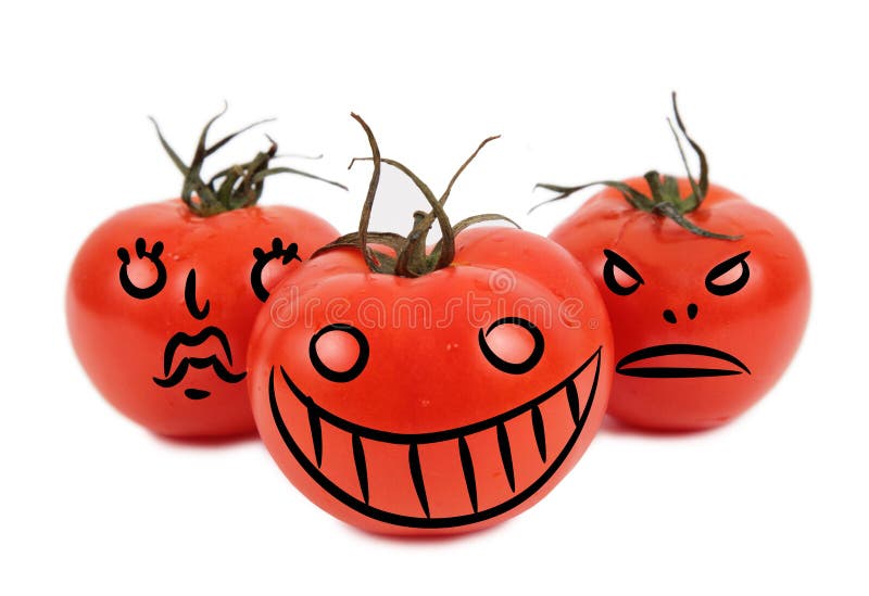 Tomates locas imagen de archivo. Imagen de comida, loco - 10390761