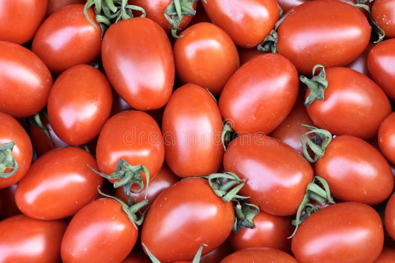 Tomates pequenos foto de stock. Imagem de vermelho, vegetal - 17407816