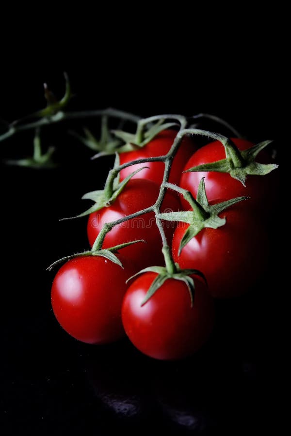 Tomates pequenos imagem de stock. Imagem de arranjo, agricultura - 5948973