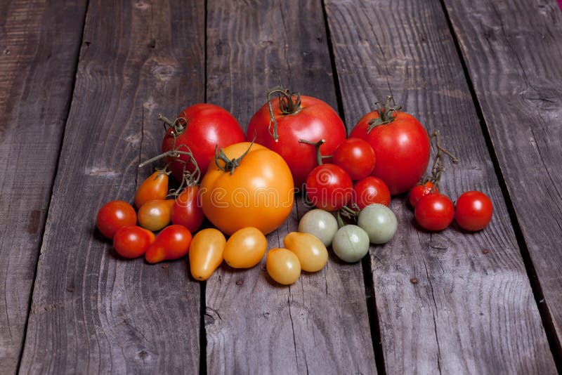 Tomates Pequenos E Grandes Dos Tomates, Vermelho, Amarelo E Verde ...
